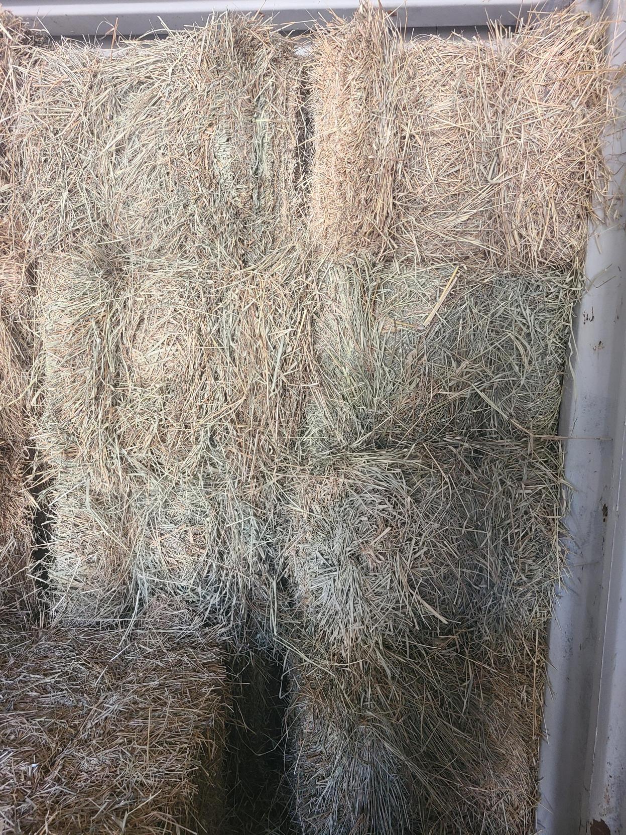 HAY COASTAL BALE SQUARE – Steglich Feed & Farm Supply