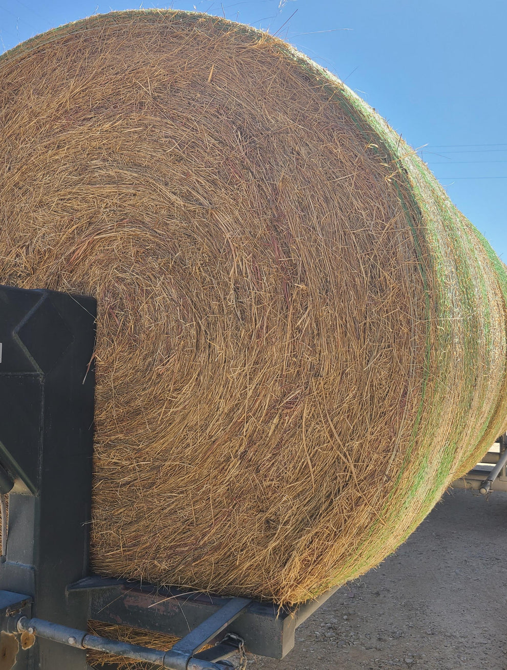 HAY ROUND BALE CATTLE 5X5.5 1400#-1500# – Steglich Feed & Farm Supply